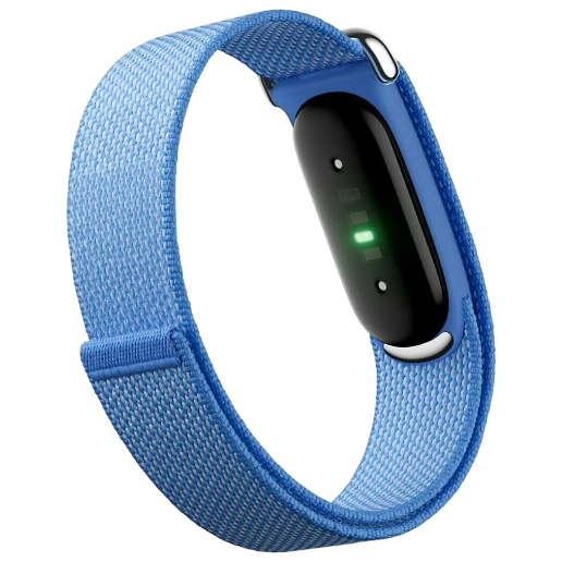 Купить Фитнес-трекер Google Fitbit Air, синий — Alif Shop
